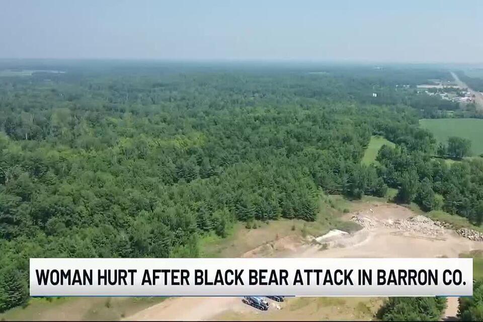 Woman Hurt After Black Bear Attack in Barron Co - NewsBreak