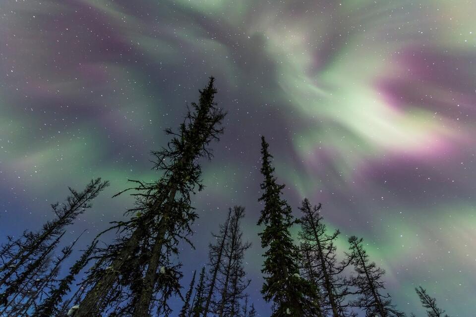 Look Up, Wyoming! The Northern Lights Could Dazzle Our Skies Tonight ...
