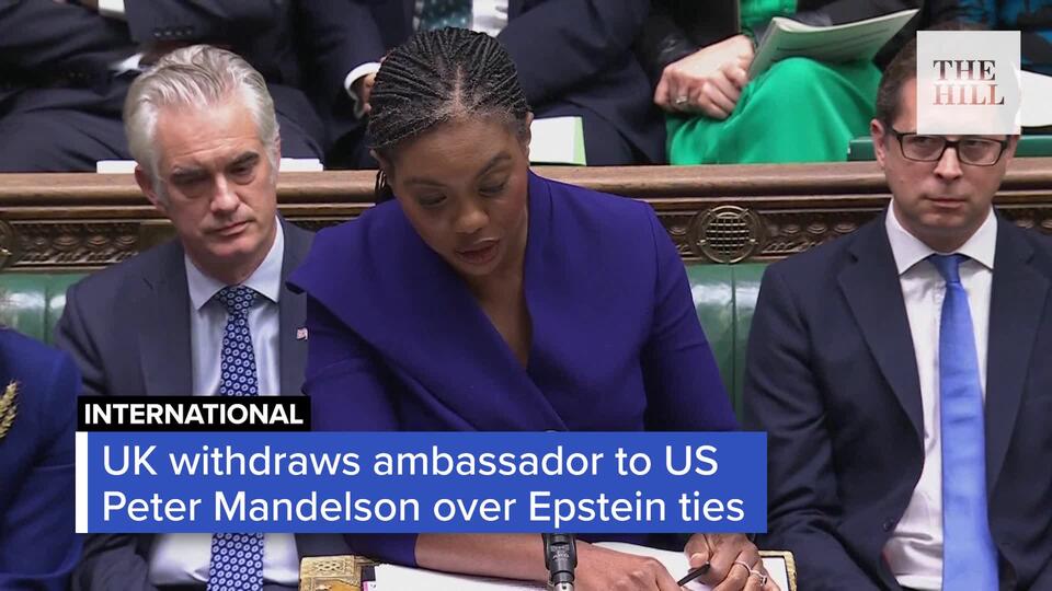 Who is Peter Mandelson, former UK ambassador withdrawn over Epstein ties? - NewsBreak