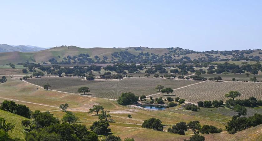 Santa Barbara County ag property owners can grow new revenue streams ...