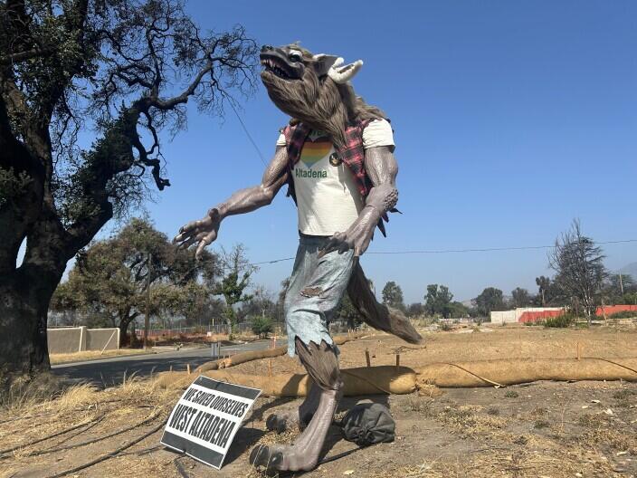 It’s alive! Norman the werewolf resurrected in Altadena - NewsBreak