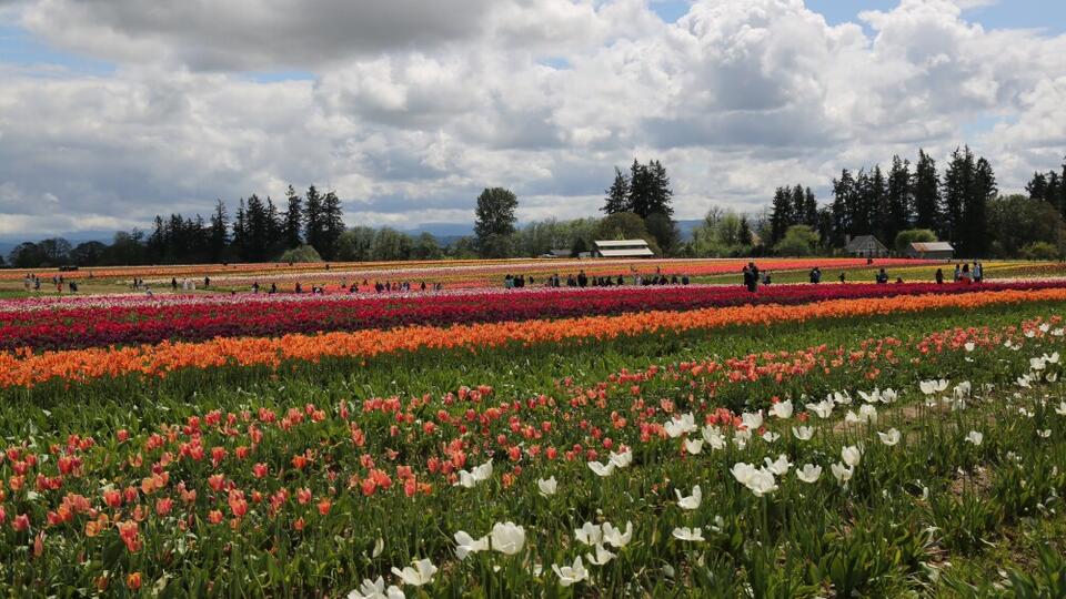 Spring events happening in and around Portland - NewsBreak