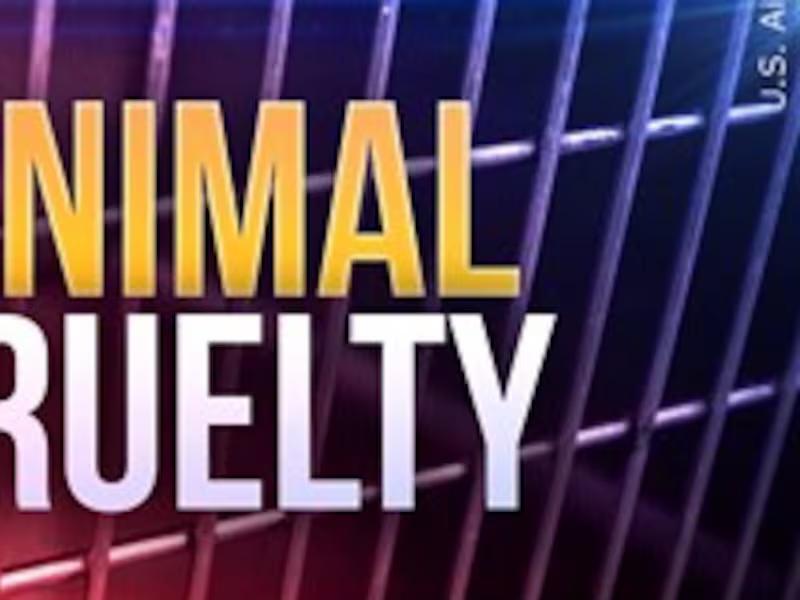 Man, 60, faces animal cruelty charges in DeKalb County Man, 60, faces animal cruelty charges in DeKalb County