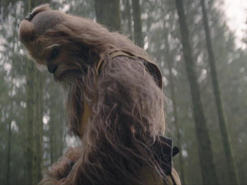Here’s Every Wookiee Jedi in ‘Star Wars’ History
