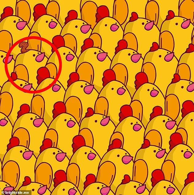 Can you spot the squirrel's tail among the flock of chicken in fun ...