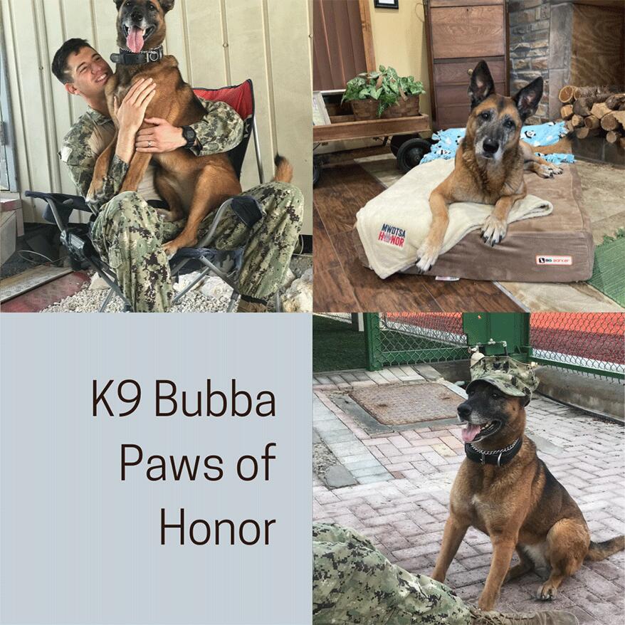 Big Barker Announces Partnership with Paws of Honor to Mark National K9 ...