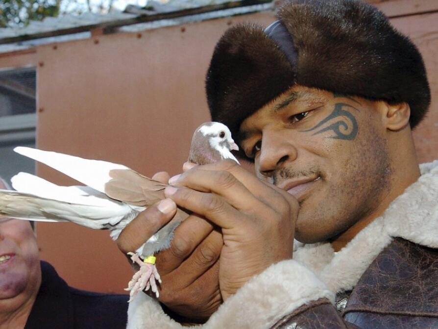 Mike Tyson Just Took His Love for Pigeons to the Next Level