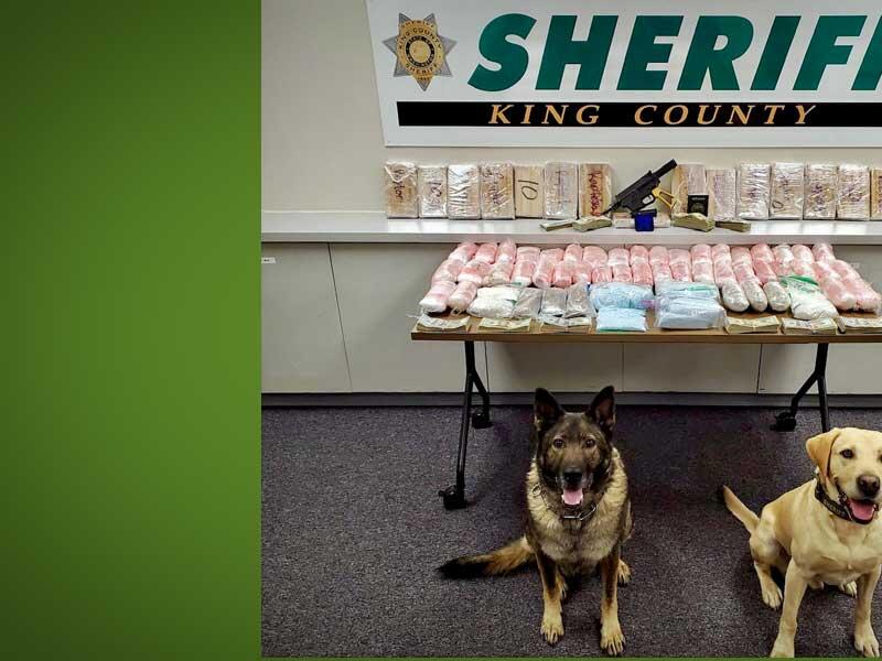 Home raided, police bust major drug operation and seize narcotics worth ...