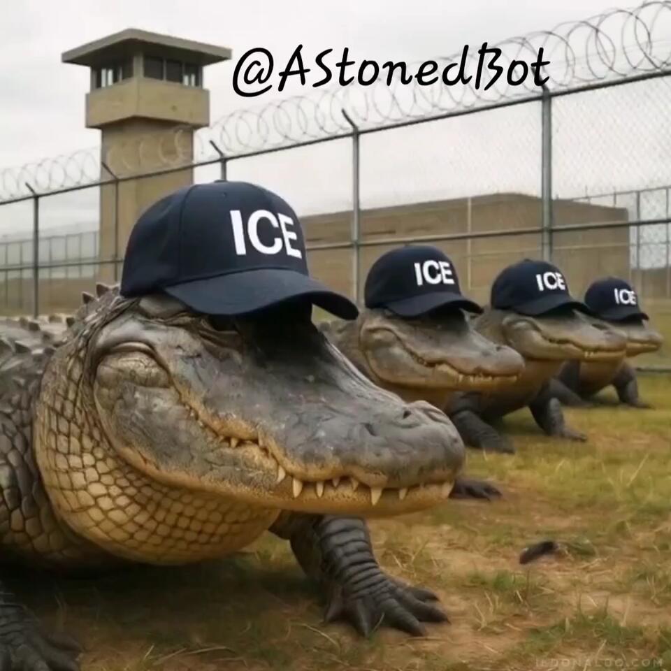 ice agents caught dancing outside of alligator alcatraz #ice #alcatraz ...