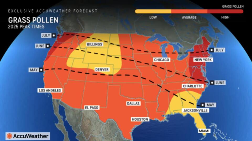 Pollen Bomb Could Hit Northeast Bringing Allergy Season From Hell, Humc ...