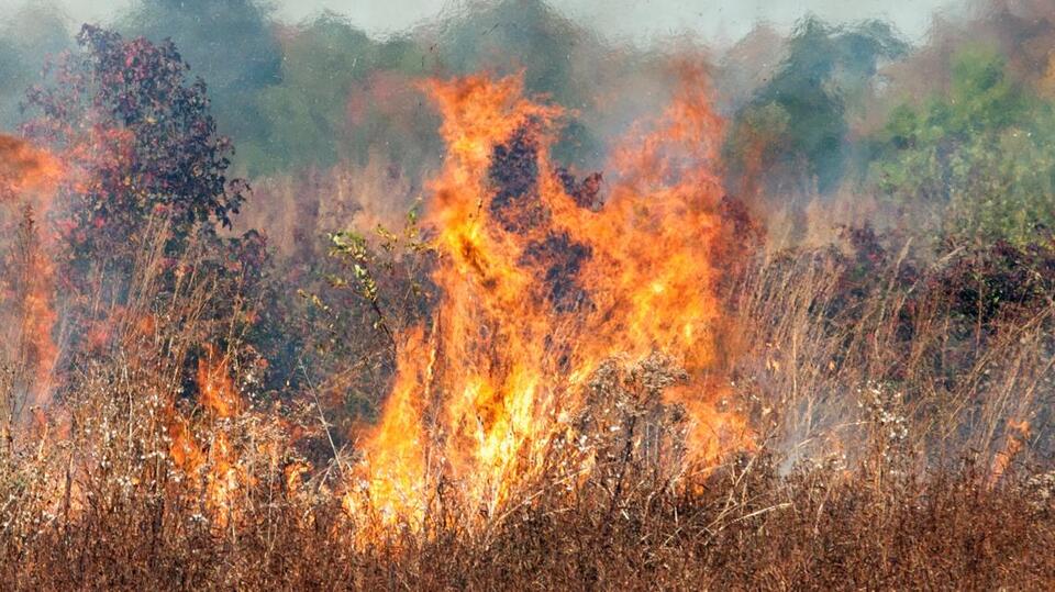 Multiple fires reported throughout Minnesota as red flag warning ...