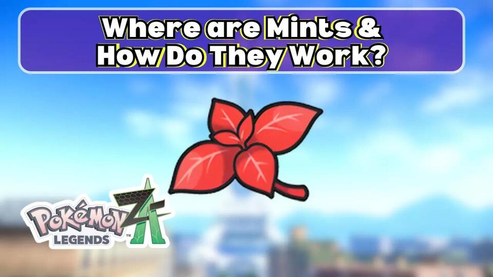 Where are Mints in Pokemon Legends Z-A & What Do They Do? - NewsBreak