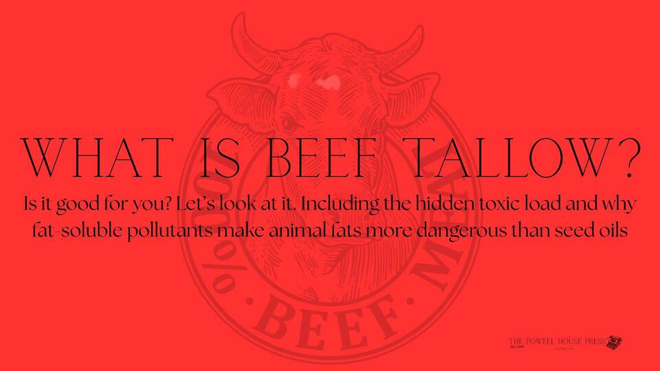 Fat Chance RFK Jr. - NewsBreak