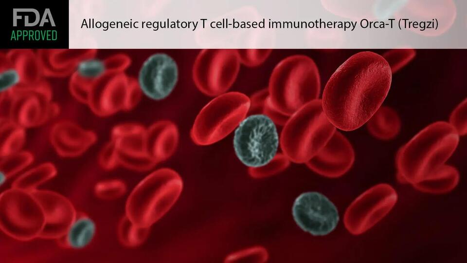 Orca-T Approved to Prevent GVHD After Stem Cell Transplant for Blood ...