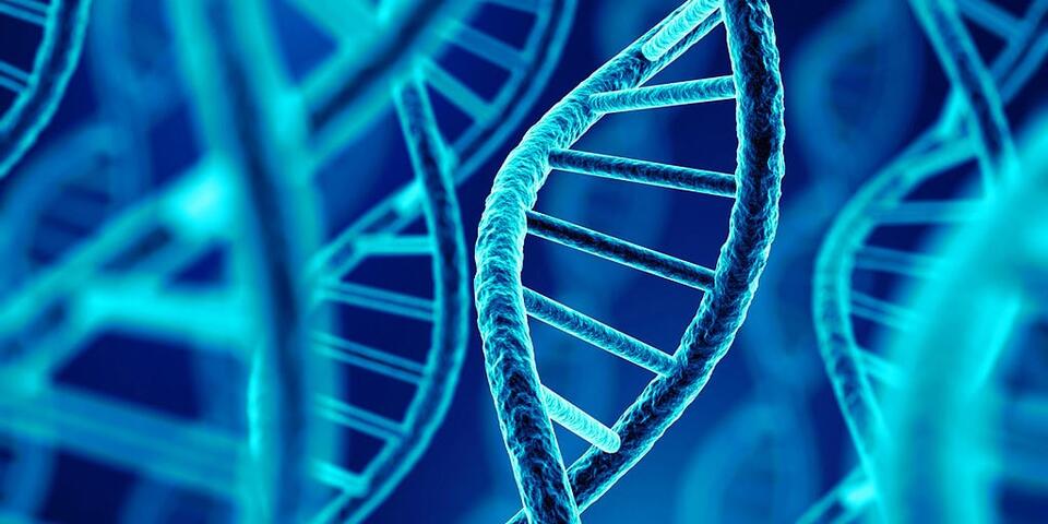 Genetic analysis upends narrative linking social media use to lower ...