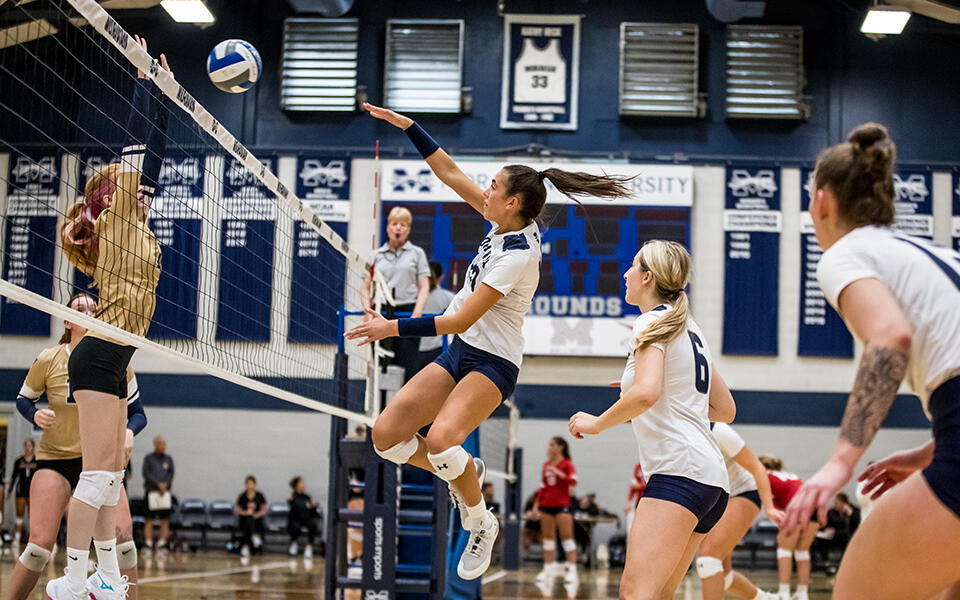 Hounds Split Two Contests on Second Day of Greyhound Premiere ...