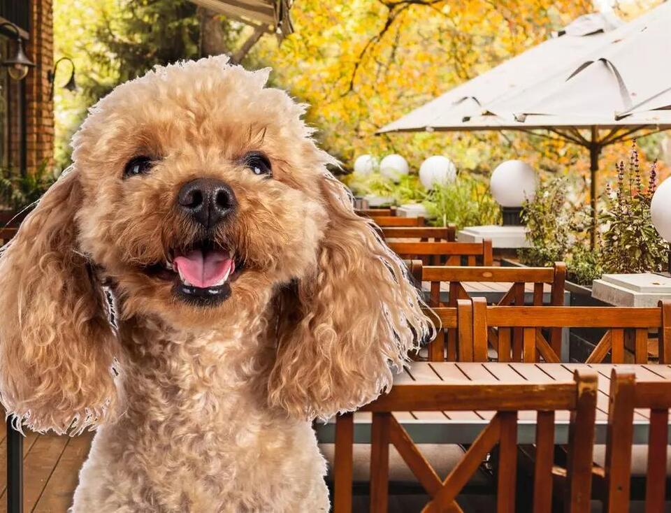 The Ultimate Guide to Northern Colorado Patios for 2025 - NewsBreak