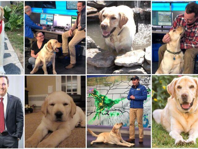 Remembering Walter: The CBS 6 Weather Dog who was a force of nature ...