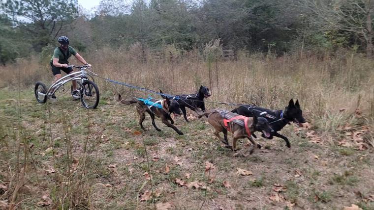 Sled Dog Competitions Set for GE Trails in Rome - NewsBreak