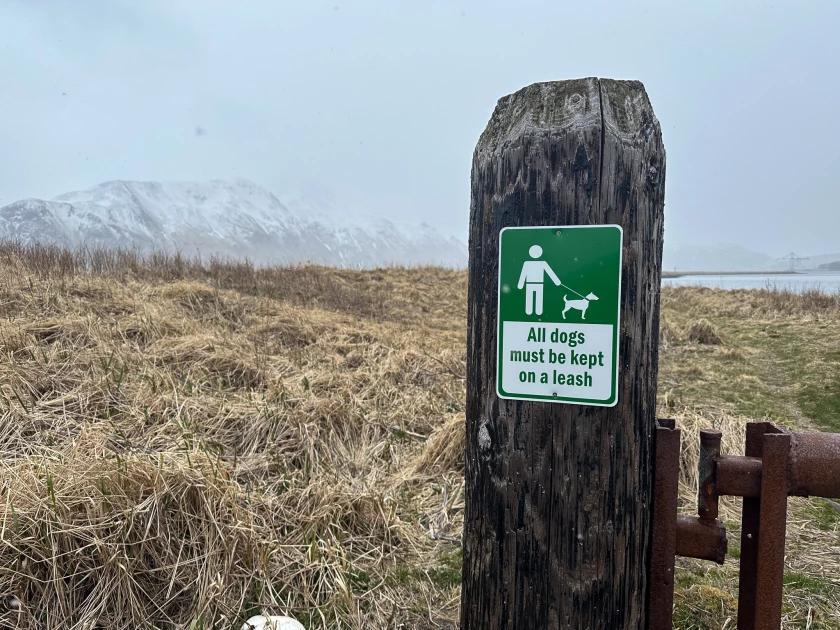 Unalaska Chief of Police discusses city’s dog ordinances - NewsBreak