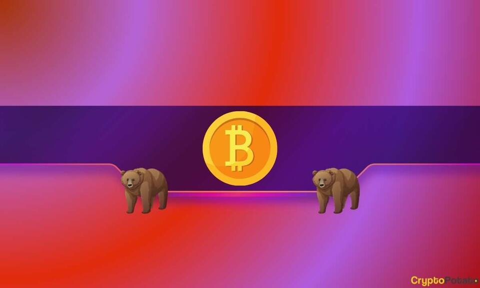 Is the Bitcoin Price at Risk of Falling Further? Market Faces Critical ...