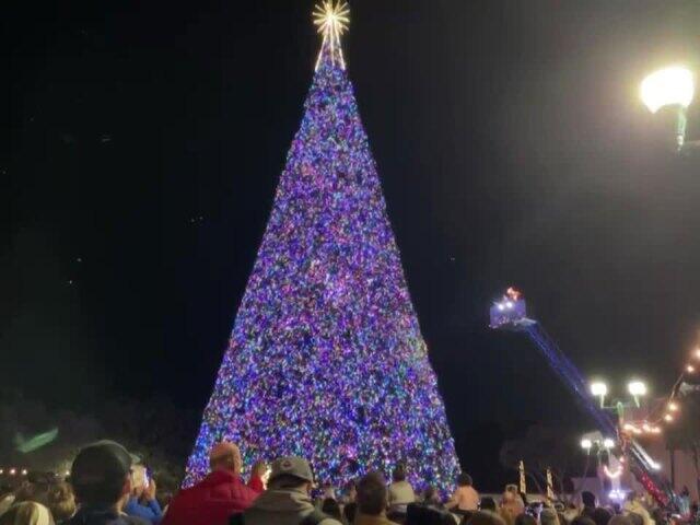 Delray Beach lights 100-foot Christmas tree at Old School Square ...