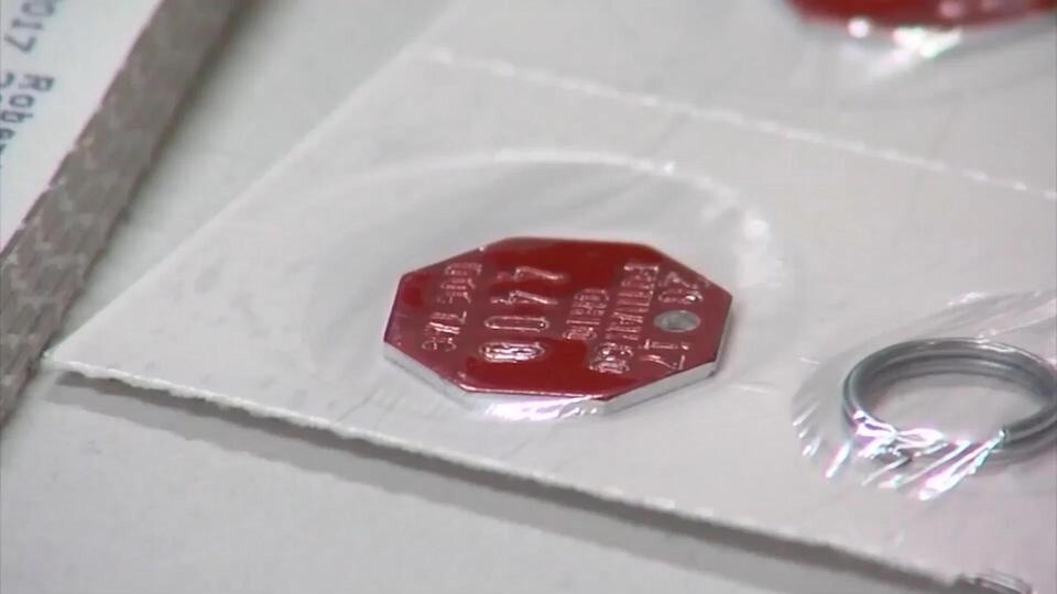 Allen County dog owners urged to buy 2026 tags before price increase ...