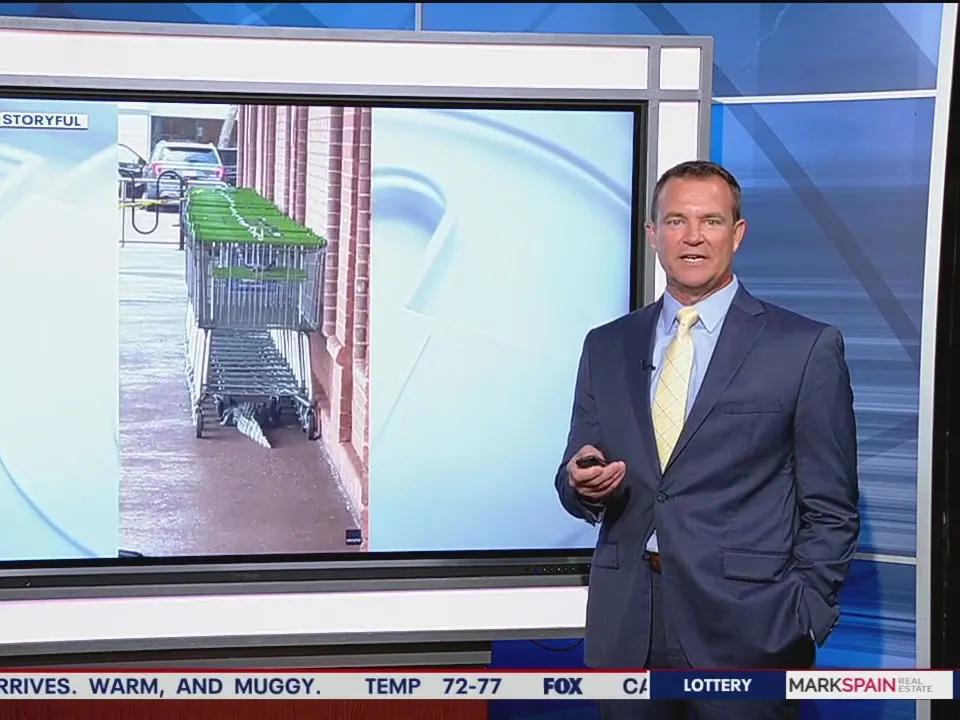 Alligator spotted at South Carolina Publix