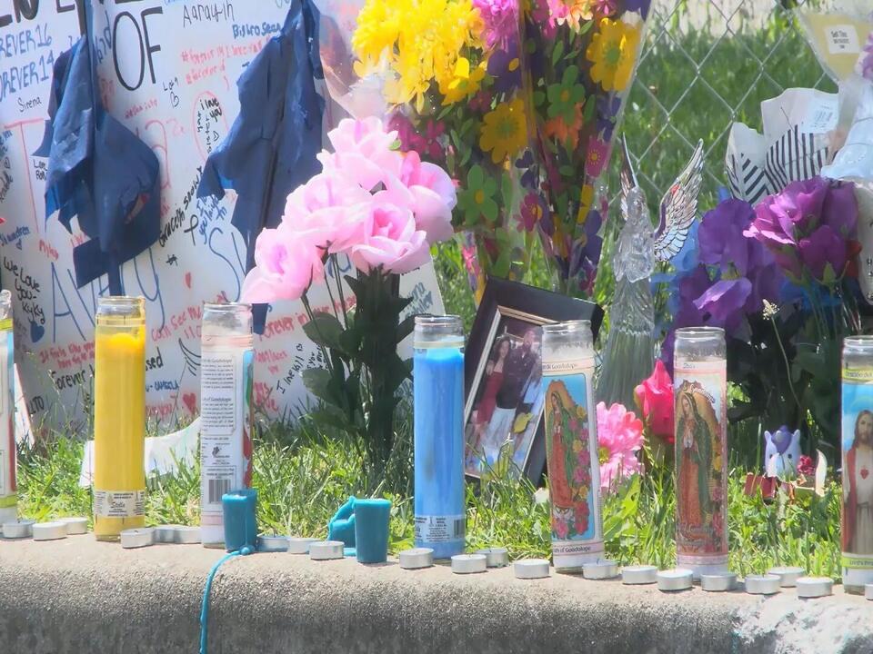 Court docs reveal details in Terre Haute crash that killed 2 teens ...
