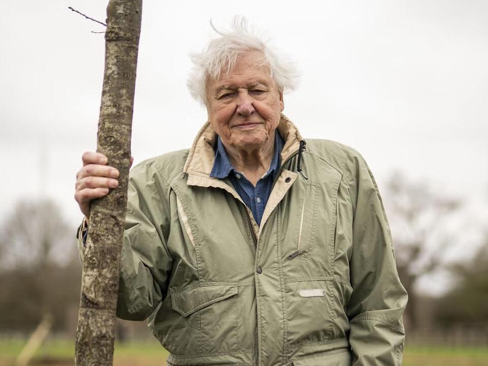 Sir David Attenborough revisits mammals in new BBC series