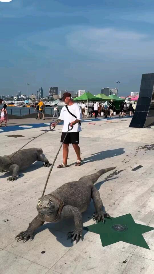 A man walks giant lizards. Real or fake friends? - NewsBreak