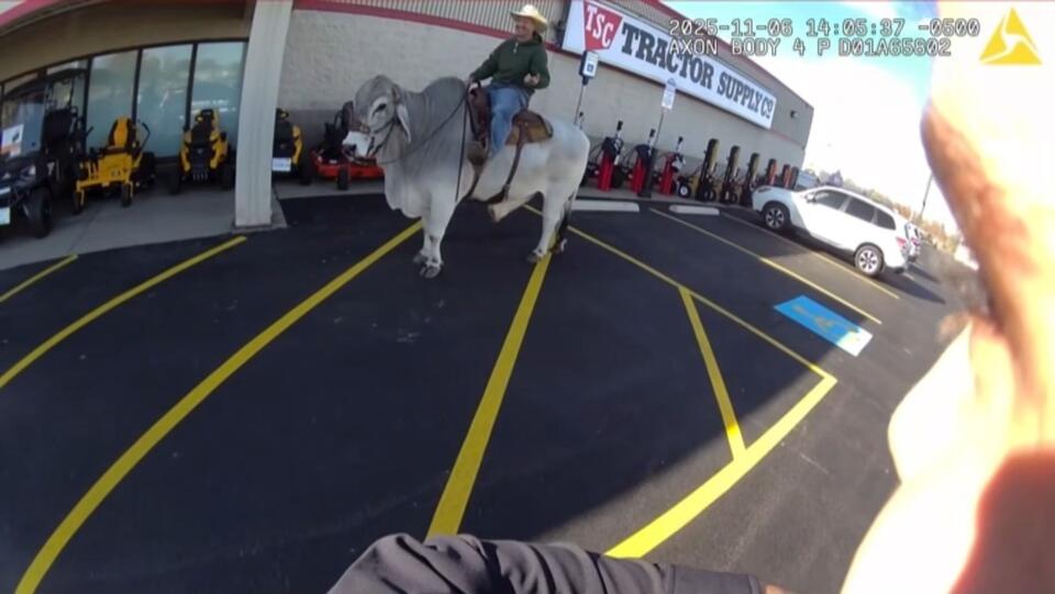 Cop Ends Up Riding A Bull After Being Called To Parking Lot - NewsBreak