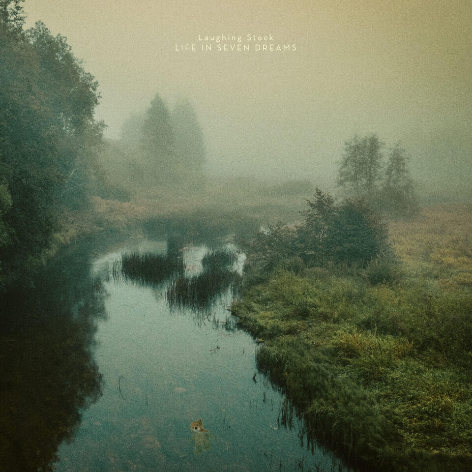 Life in Seven Dreams - NewsBreak