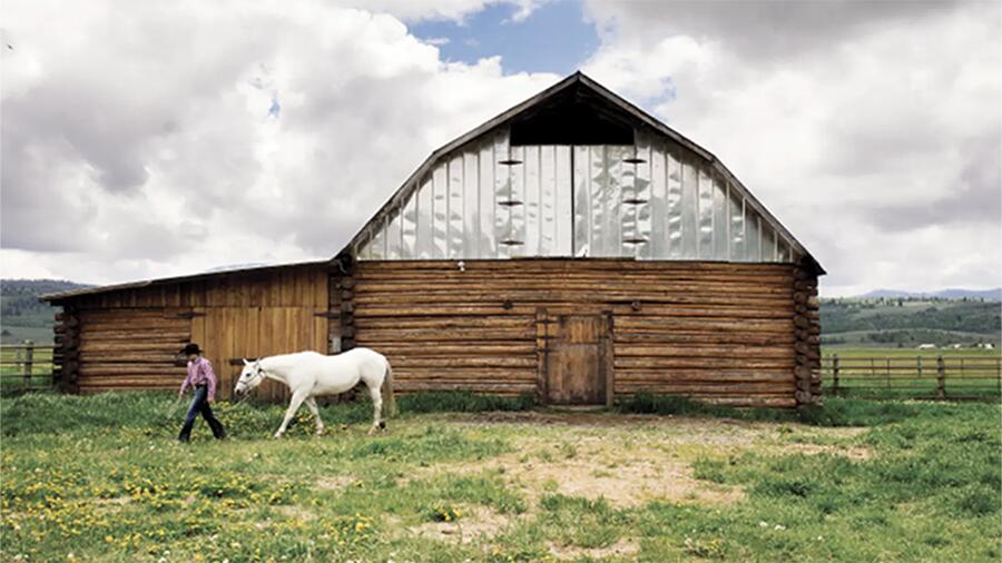 Ariat Names Levi’s COO Liz O’Neill as Next CEO; Beth Cross Transitions ...