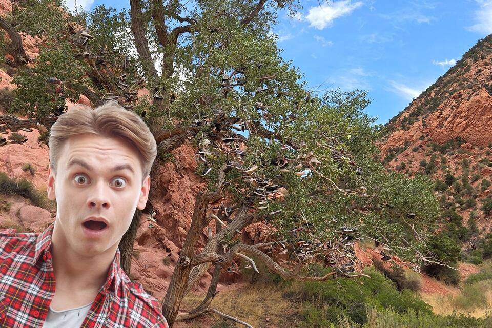 What Weird Things Can You See Along The Roads In Utah? - NewsBreak