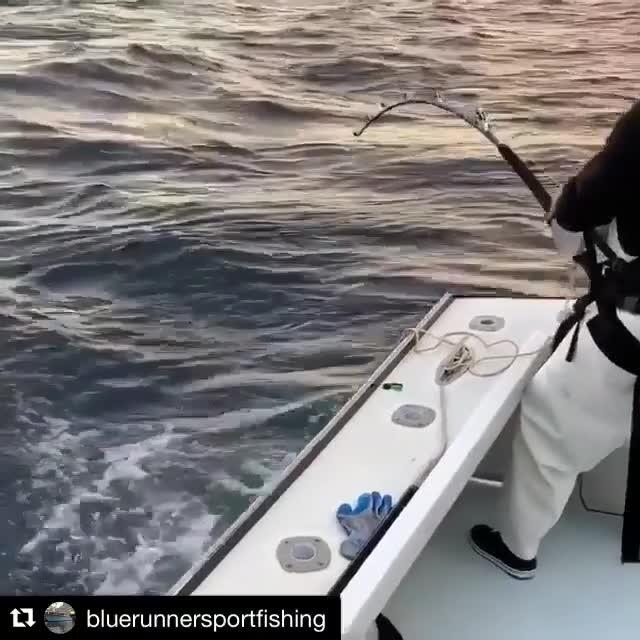 Great day of fishing back in February catching 3 out of 4 Giant Bluefin ...