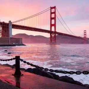 Trumer Pils: Award-Winning German-Style Pilsner in Berkeley - NewsBreak