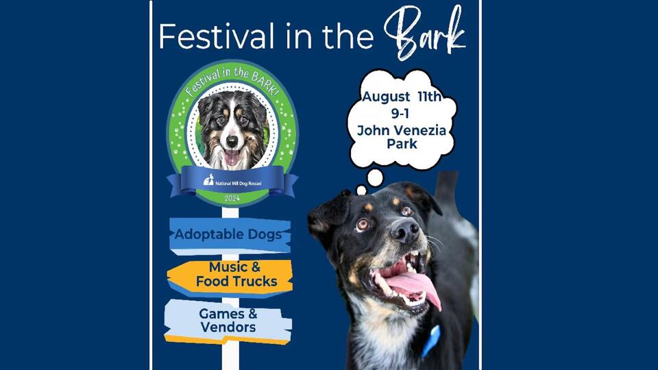Festival in the Bark this weekend in Colorado Springs - NewsBreak