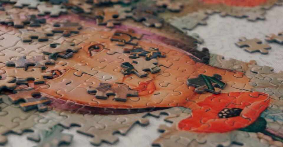 Cracking 100 Animal Puzzles: A Wild Pet Quest - NewsBreak