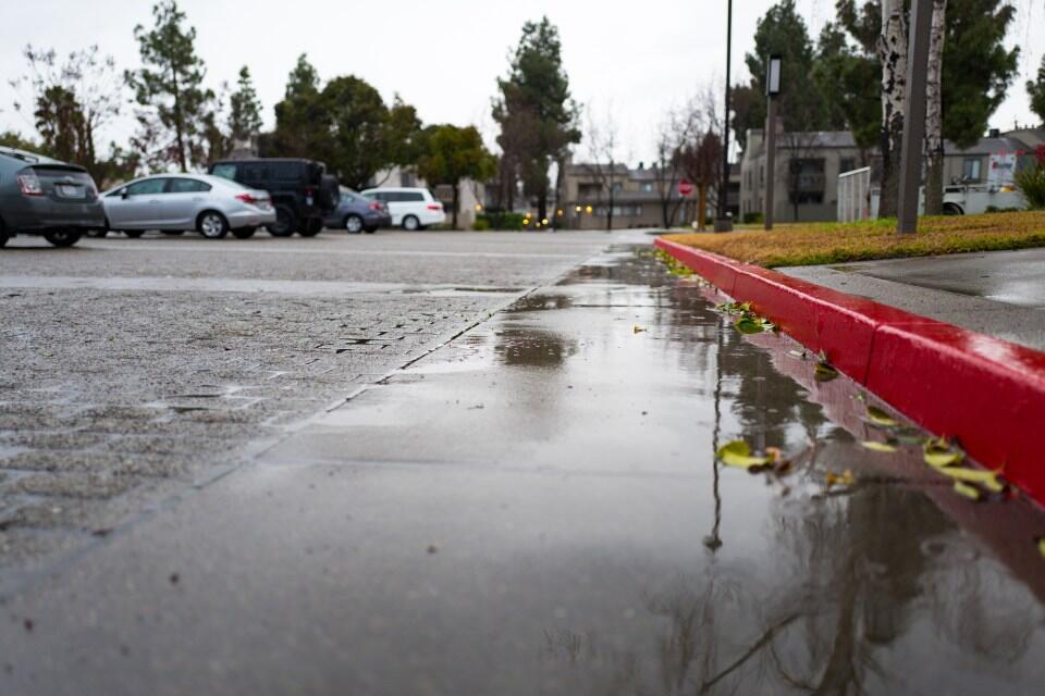 US city forced into major U-turn for March 1 parking law after drivers ...