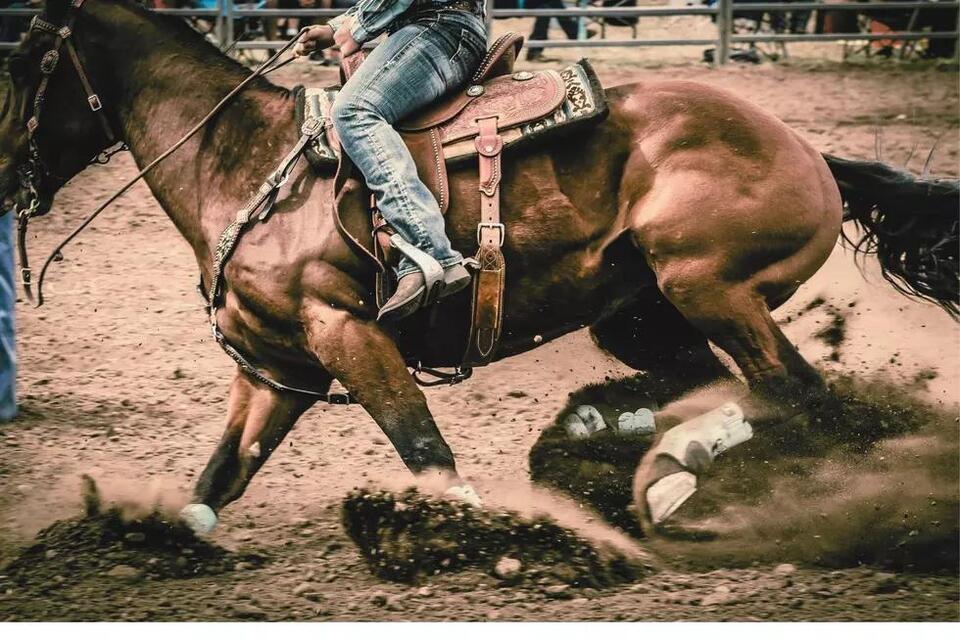 Colorado Was Home to the World’s First Rodeo - NewsBreak