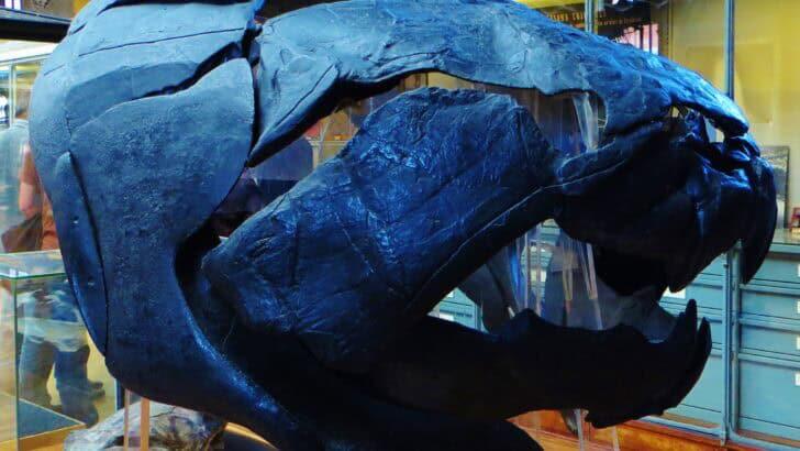 Dunkleosteus: The Armored Fish With Bone-Crushing Jaws - NewsBreak