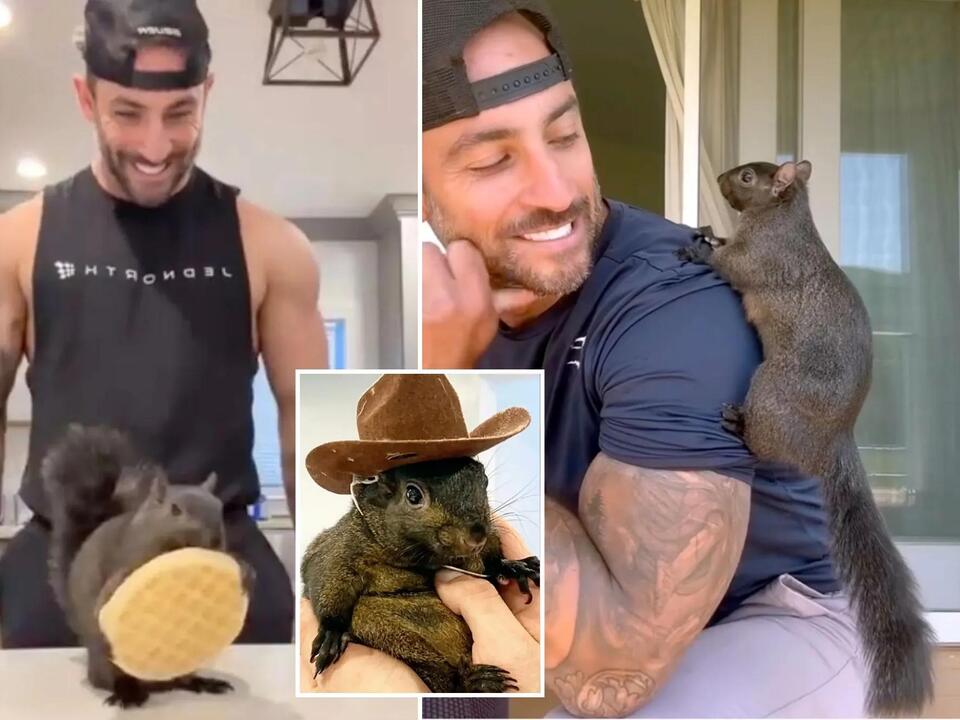 P’nut the Squirrel’s grieving owner says he was treated like a ...