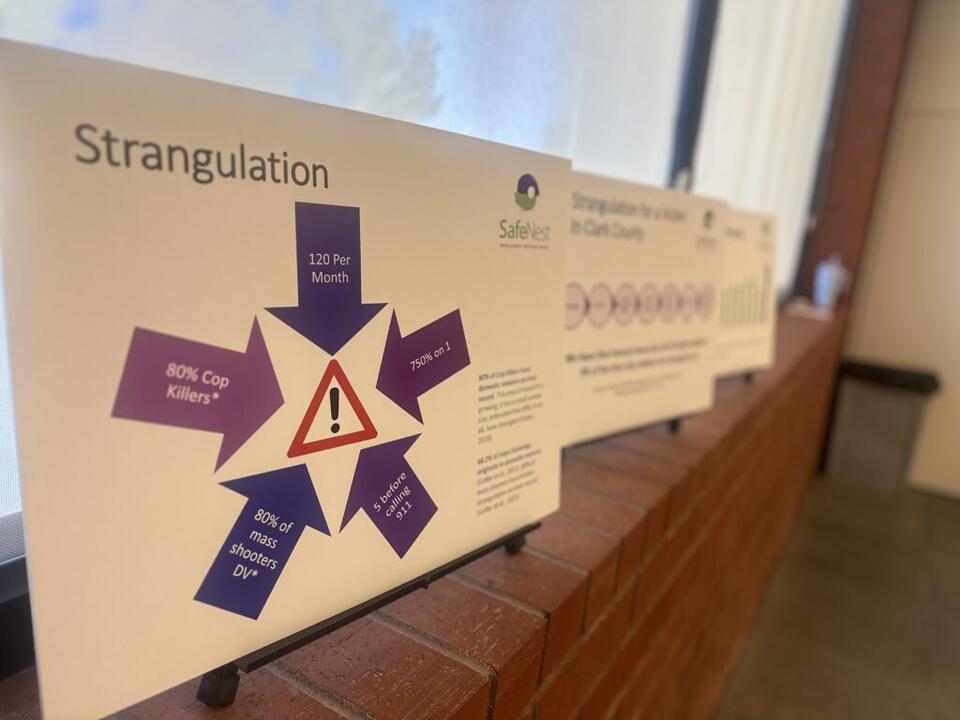 Nevada among handful of states funding strangulation exams for domestic ...