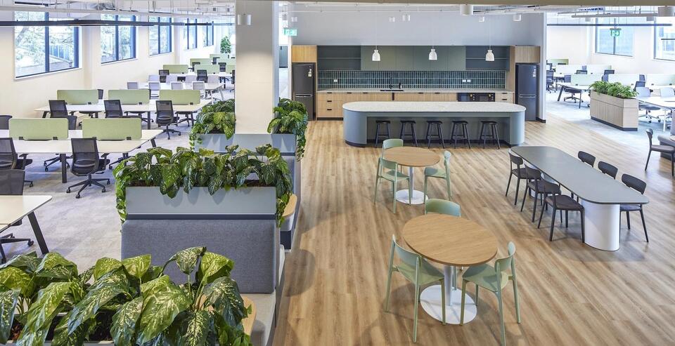 Wello Works Launches in US To Redefine Workplace Wellness - NewsBreak