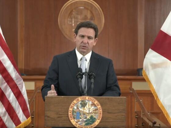 Patrick Hedger and Dan Savickas Opinion: Ron DeSantis’ Disney Focus ...