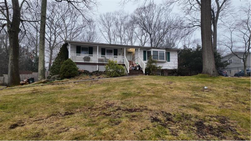 Dozens of domesticated rats rescued from Rocky Point home, questions ...