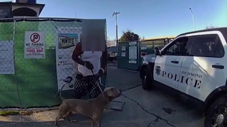Richmond police defend tasing dog during arrest, caught on viral video ...