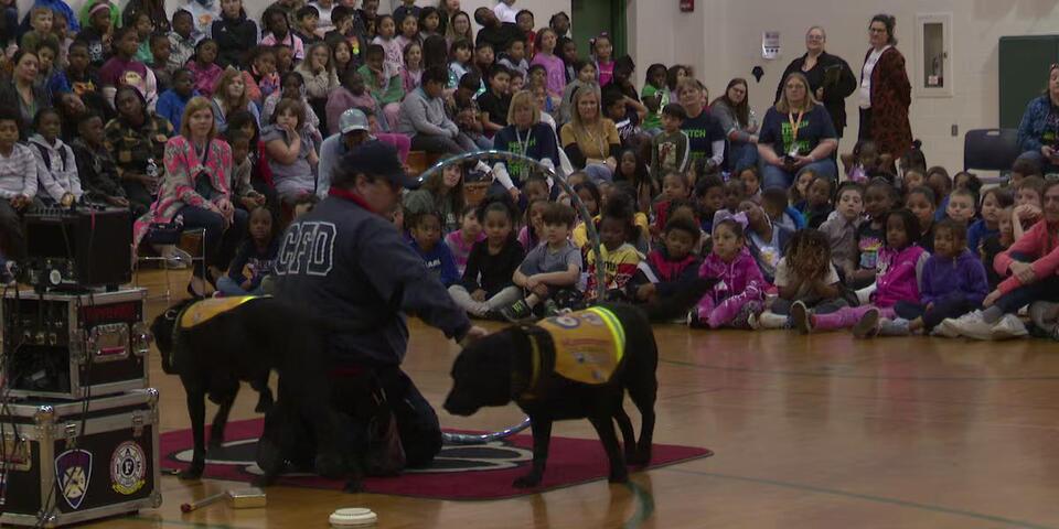 Dogs help teach kids fire prevention at Madison STEAM Academy - NewsBreak