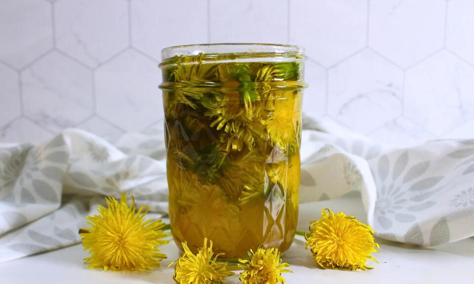 How To Make Dandelion Infused Oil - NewsBreak